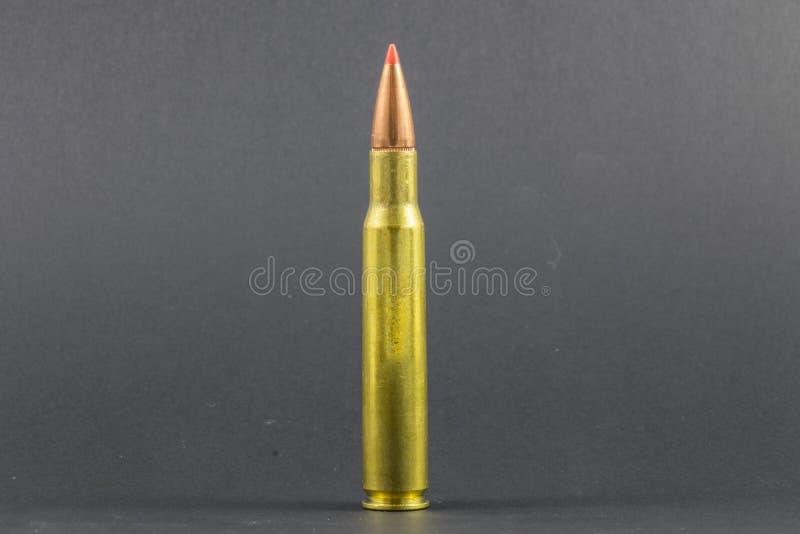 M16 Rifle with 20-round Magazine Vietnam War Period Stock Photo - Image ...