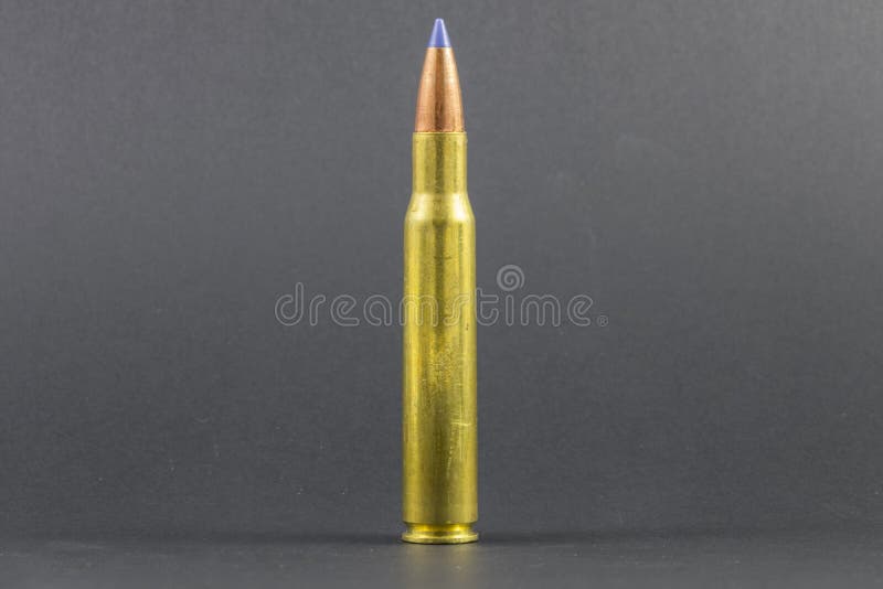 M16 Rifle with 20-round Magazine Vietnam War Period Stock Image - Image ...