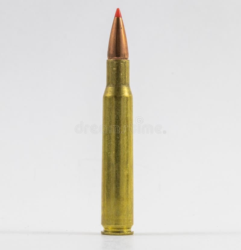 A Single Ballistic Tip Rifle Round Stock Photo - Image of lead, bullets ...