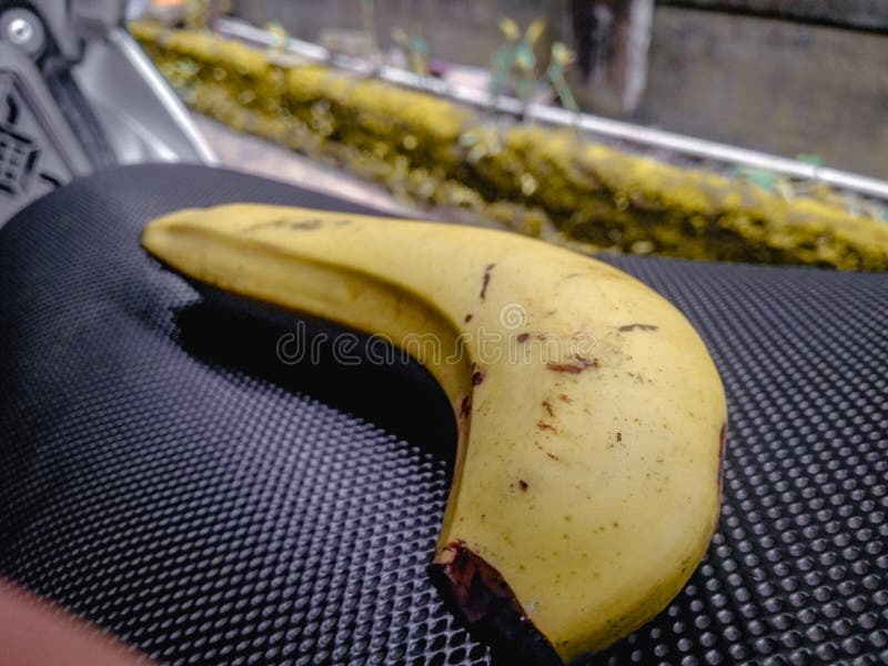 A single banana stock image. Image of yellow, banana - 210882981