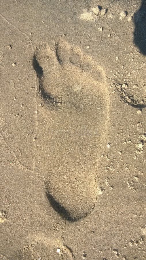 Single Bare Foot Imprint in Beach Sand Stock Image - Image of natural ...