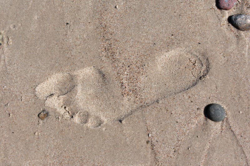 Single Bare Foot Imprint in Beach Sand Stock Photo - Image of beach ...