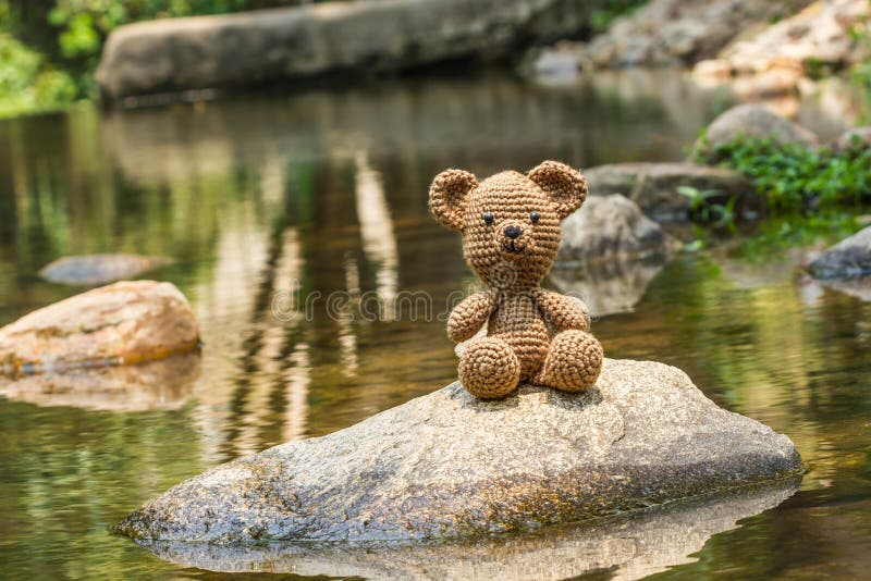 Single Bear Walking on a Path Stock Photo - Image of hungry, hunting ...
