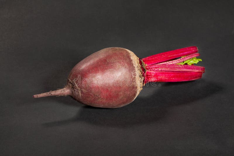 Single beetroot on black stock image. Image of beets - 241743227