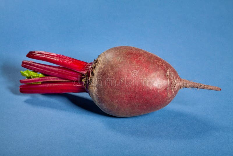 221 Single Red Beets Stock Photos - Free & Royalty-Free Stock Photos ...