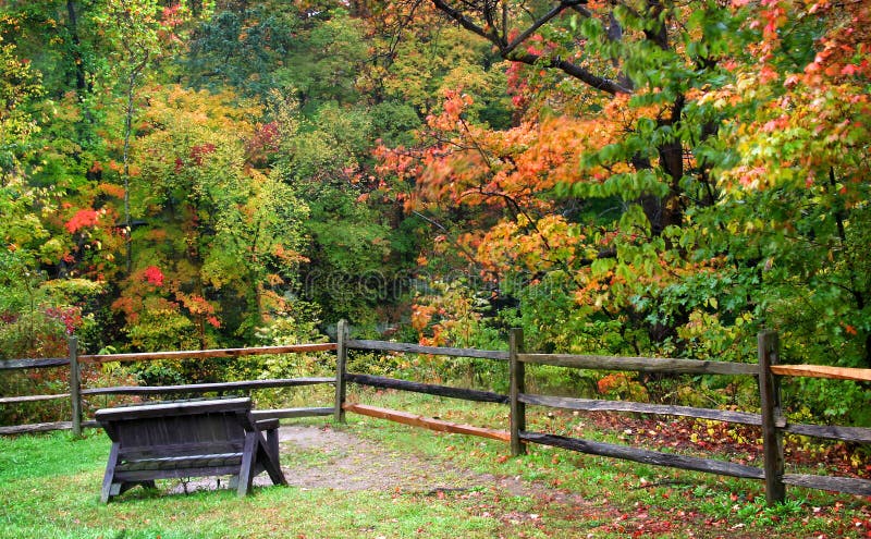 Single Bench stock photo. Image of green, peaceful, beauty - 6876326