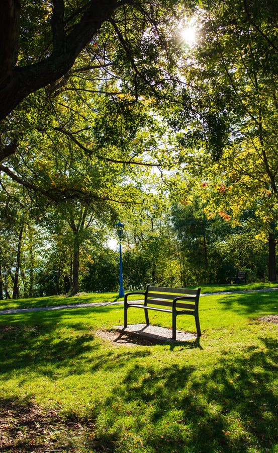 Bench Under the Big Tree in the Park Stock Image - Image of hush ...