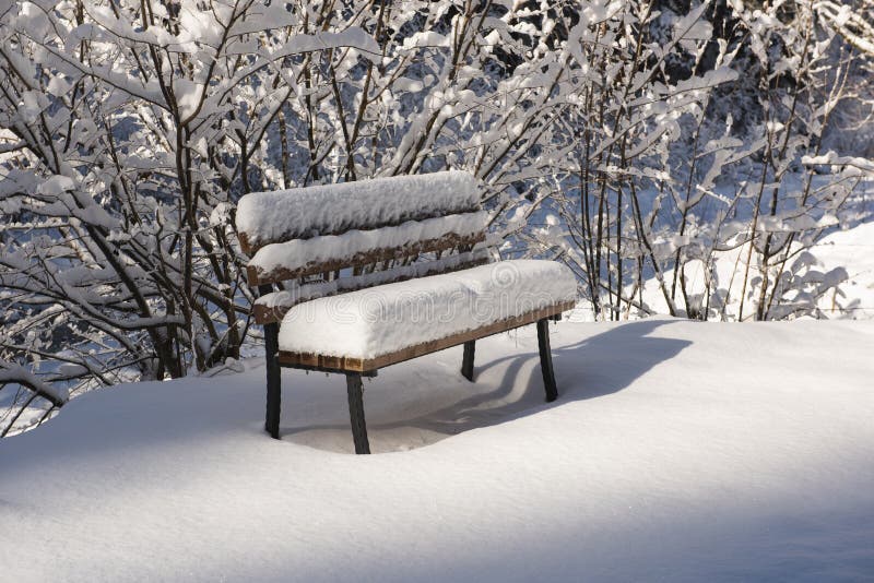 Single bench with cushions stock photo. Image of lifestyle - 1888456