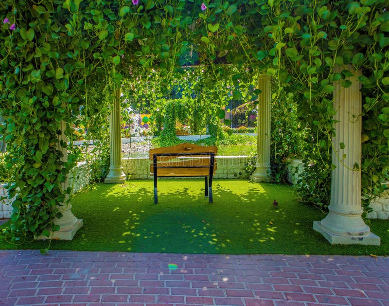 233 Backwards Facing Stock Photos - Free & Royalty-Free Stock Photos ...