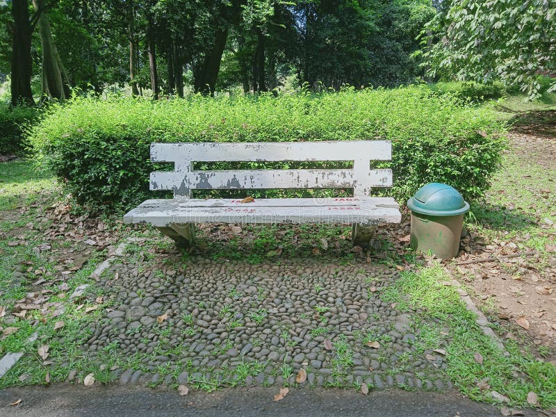 SIngle Bench in the Forest at Sunny Daylight Stock Image - Image of ...