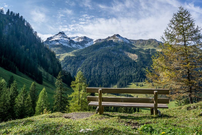 Single Bench on a Hill with a View of Mountains and Trees Stock Image ...