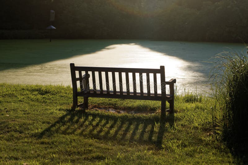 Bench Algae Covered with Algae, a Bridge Sunk in the Water Stock Photo ...
