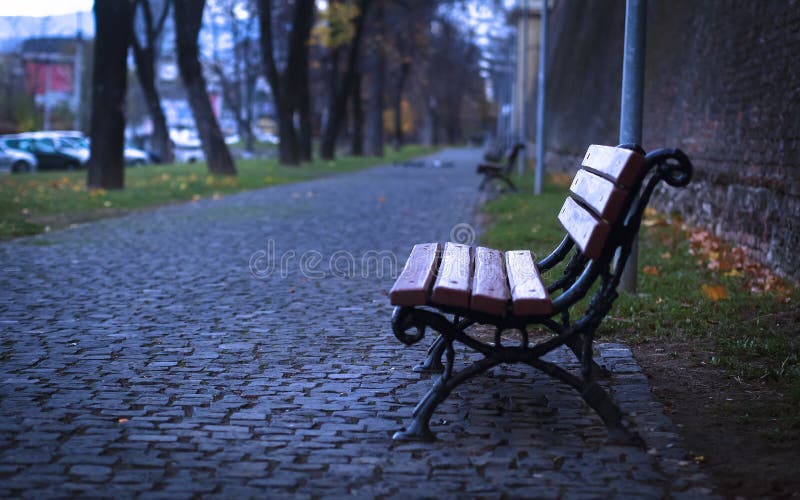 Single bench with cushions stock photo. Image of lifestyle - 1888456