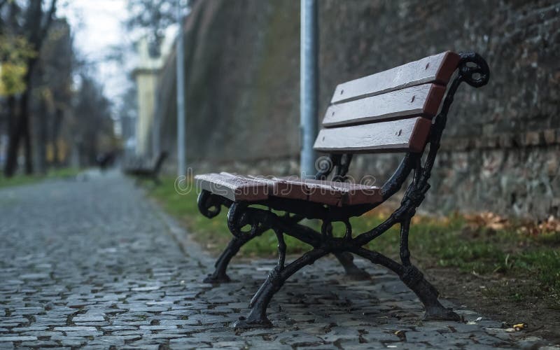 Single bench with cushions stock photo. Image of lifestyle - 1888456