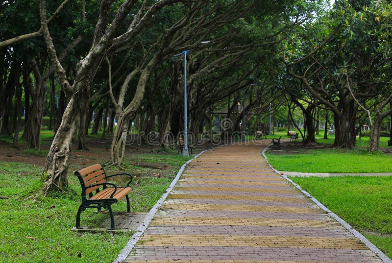 Single bench with cushions stock photo. Image of lifestyle - 1888456