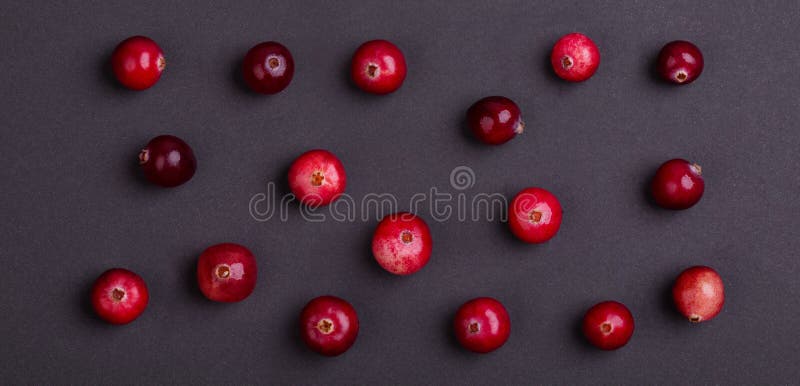 Single berries lingonberry stock photo. Image of fresh - 142992838