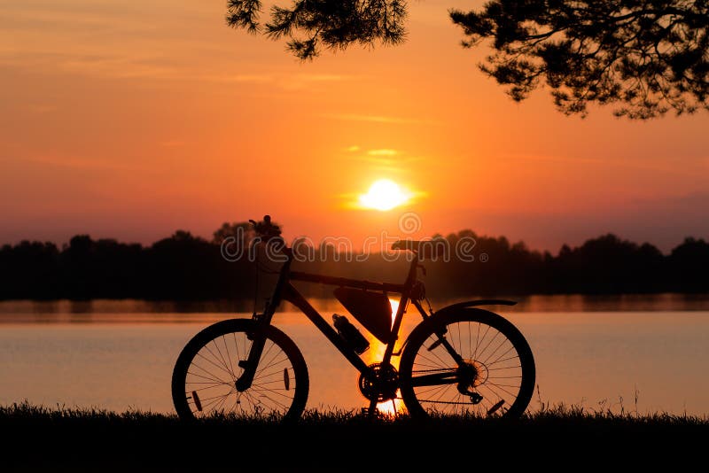 Single Bicycle Standing on a Sunset Under Trees Stock Image - Image of ...