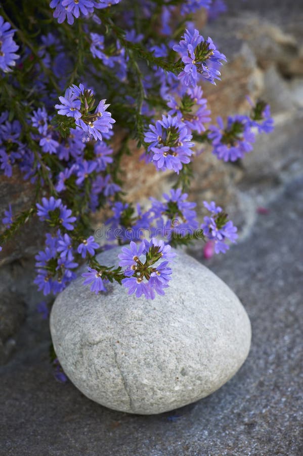 Single big pebble stock photo. Image of detail, rock - 26918574