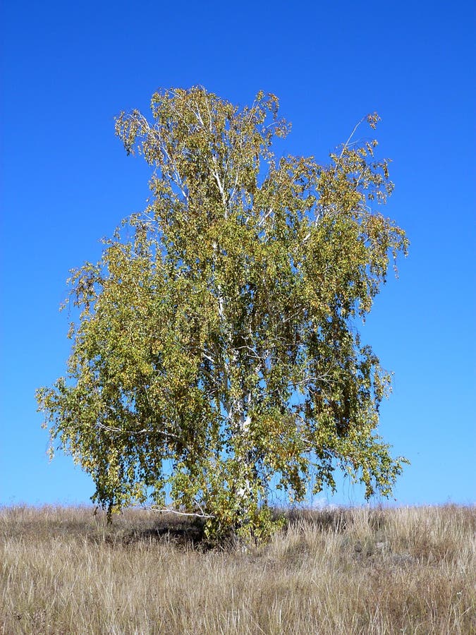 254 Bare Mound Stock Photos - Free & Royalty-Free Stock Photos from ...