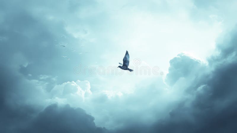 Solitary Bird Soaring through Dramatic Cloudy Sky Stock Illustration ...