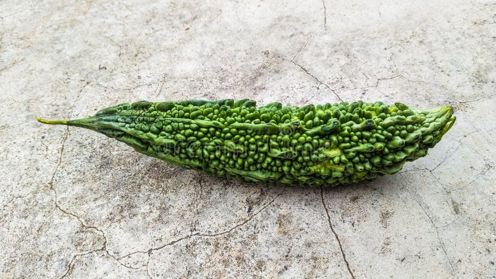 151 Bitter Gourd Insect Marks Stock Photos - Free & Royalty-Free Stock ...