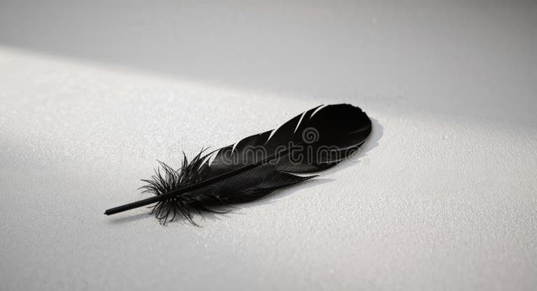 17,503 Sunlight Detailed Texture Stock Photos - Free & Royalty-Free ...