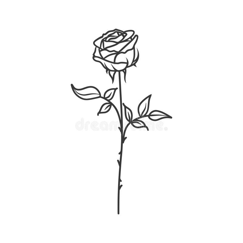 Single Black Line Drawing of a Rose Stock Vector - Illustration of ...