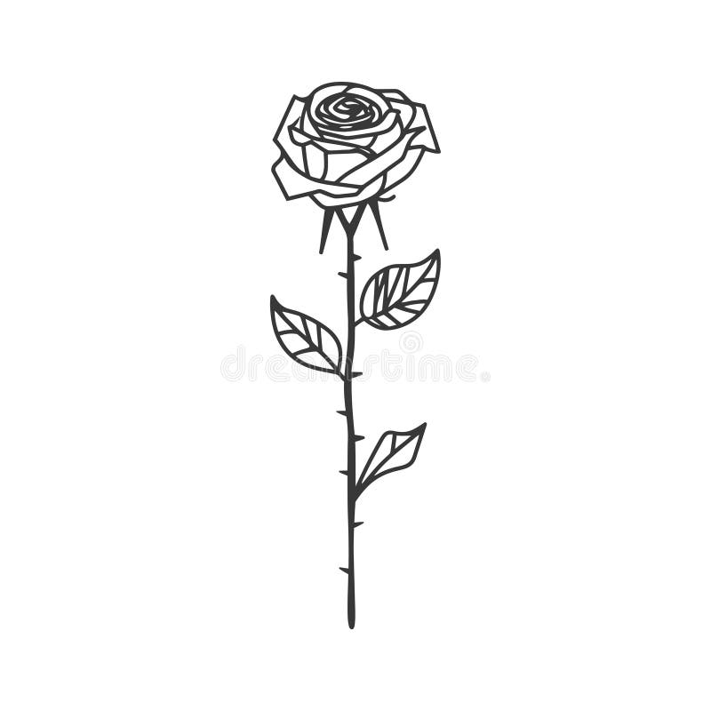 Single Black Line Drawing of a Rose with Stem and Leaves Stock ...