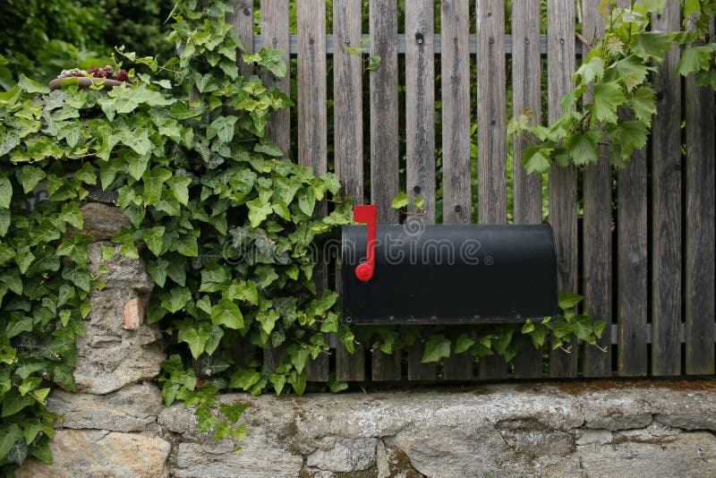 Single Black Mailbox Sits on of a Wooden Fence. Grape Leaves or Vine ...