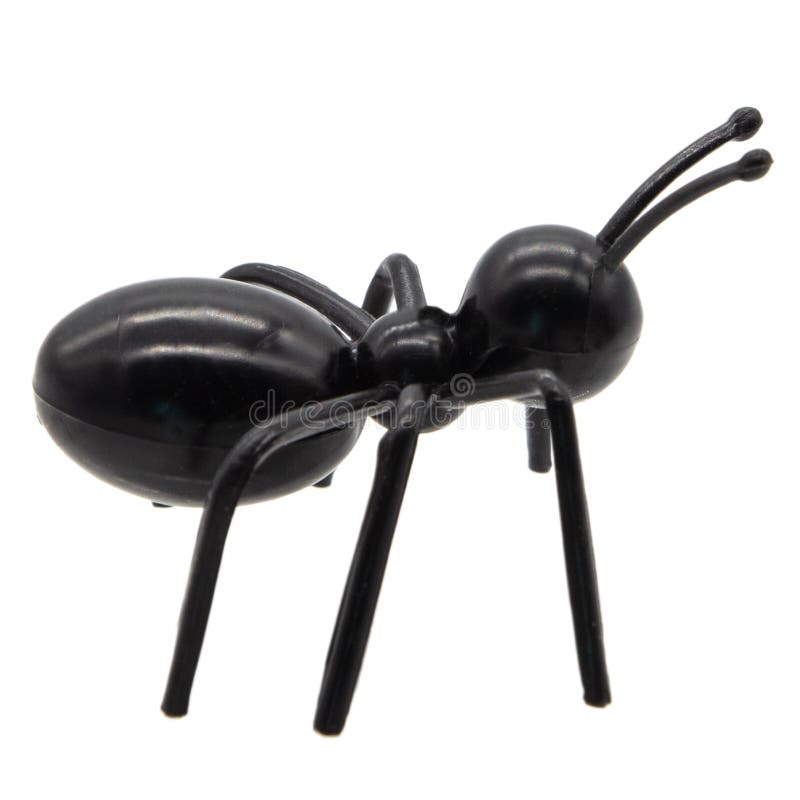 A single black plastic ant stock image. Image of insect - 262599493