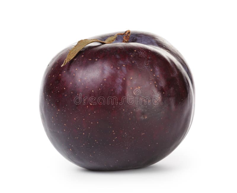 Single black plum stock photo. Image of diet, sweet, healthy - 40718492