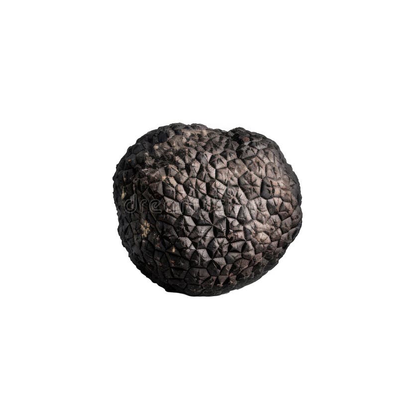 A Single Black Truffle on a Black Background Stock Photo - Illustration ...