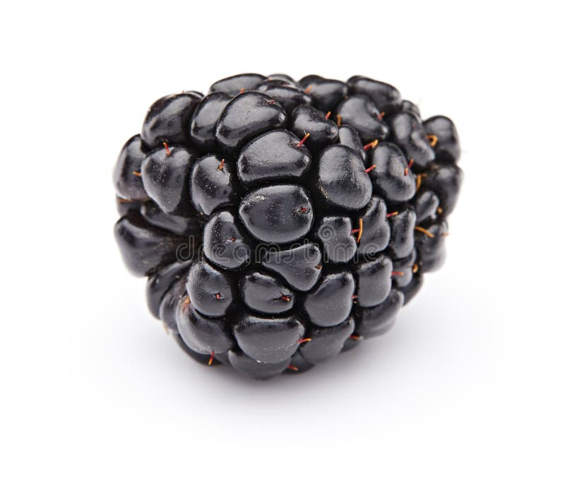 Blackberry Isolated on White Background Stock Image - Image of vegan ...