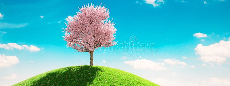 Single Blossoming Tree in Spring. 3d Rendering Stock Photo - Image of ...