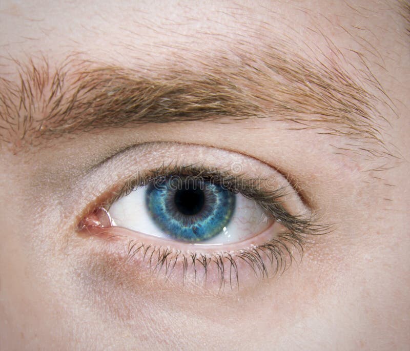 Male eye, menacing-looking stock image. Image of gaze - 31506103