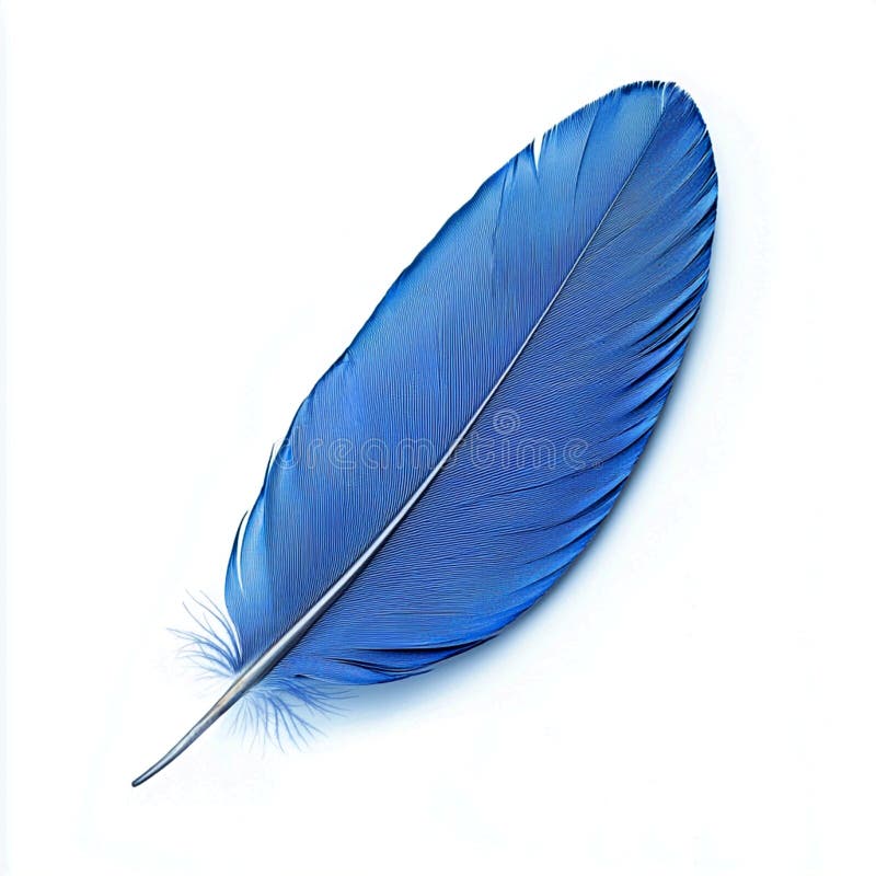A Single Blue Feather on White Background for Design Element Isolated ...