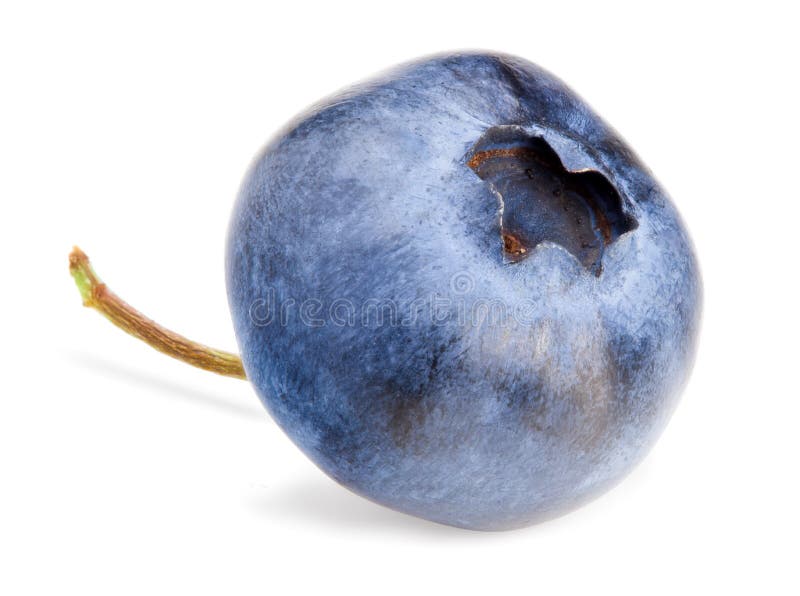 Single Blueberries Isolated on White Background. Macro Stock Image ...