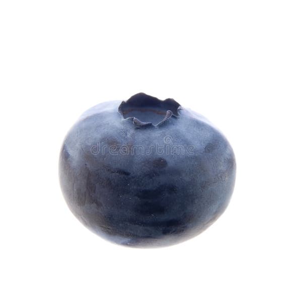 Single blueberry stock photo. Image of blueberries, superfood - 20074452