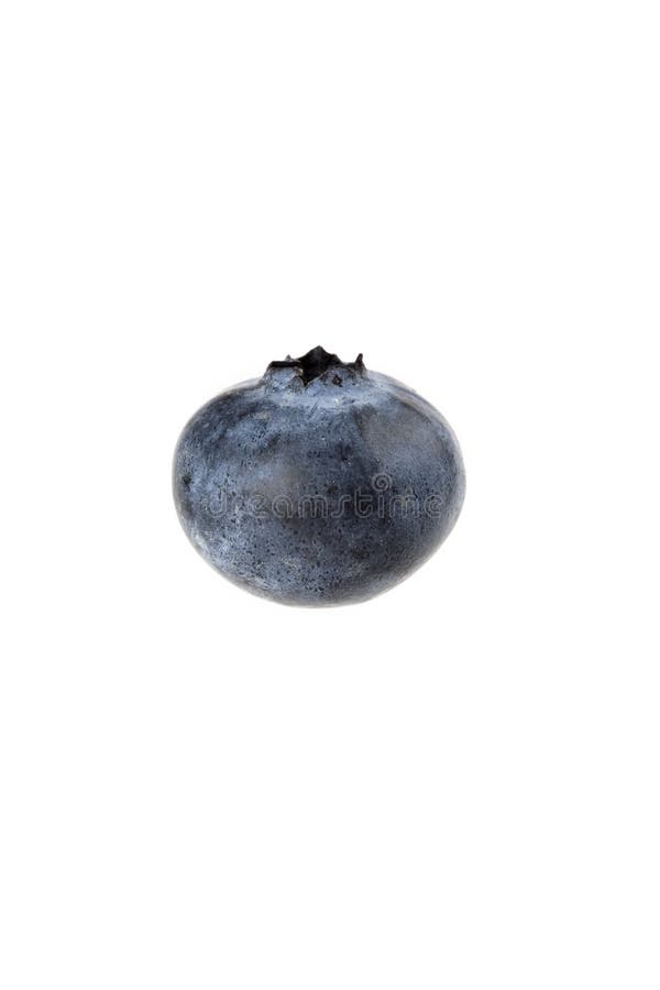 6,274 Single Blueberry Stock Photos - Free & Royalty-Free Stock Photos ...