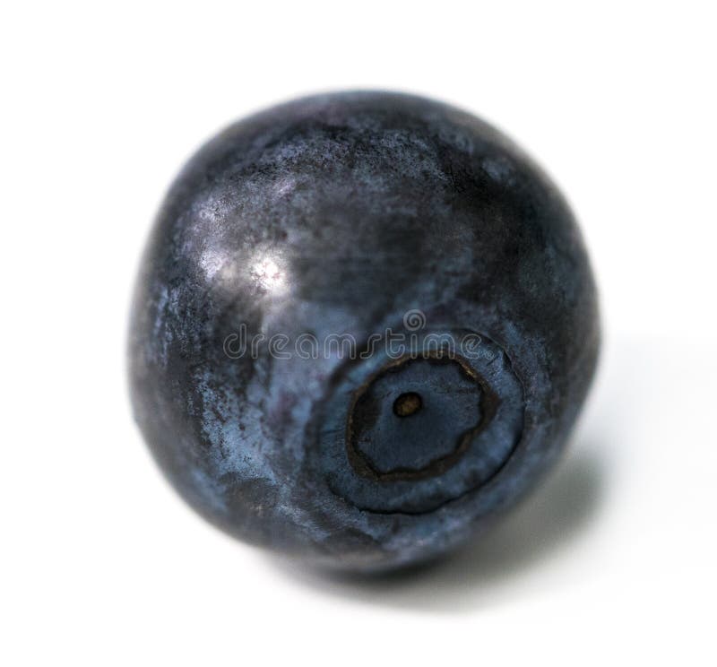 Single Blueberry Berry Isolated on White Background. One Blueberry ...