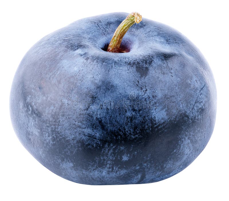 4,971 Single Blueberry Stock Photos - Free & Royalty-Free Stock Photos ...