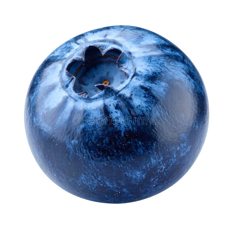 Single Blueberry Floating on Transparent Background with Clipping Path ...