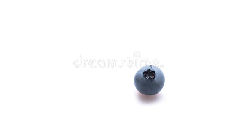 Single Blueberry Fruit White Isolated Stock Photo - Image of fruit ...