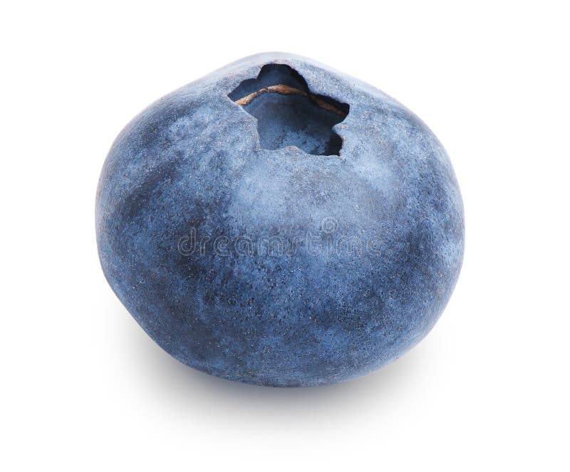 5,228 Single Blueberry Stock Photos - Free & Royalty-Free Stock Photos ...