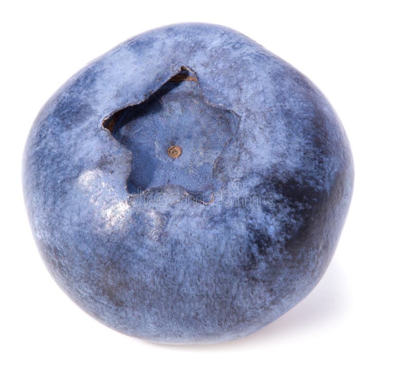 Single Blueberry Isolated on White Background. Full Depth of Field ...