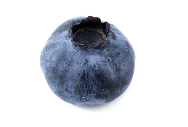 4,506 Single Blueberry Photos - Free & Royalty-Free Stock Photos from ...