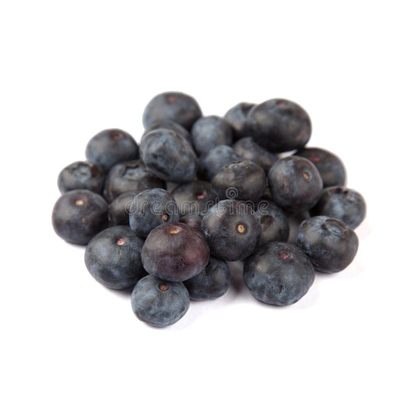 Single Blueberry without Leaves Stock Image - Image of blue ...