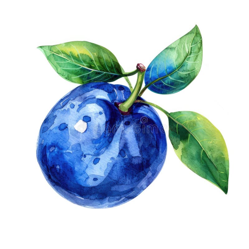 Single Blueberry Rendered in Watercolor Stock Image - Image of healthy ...