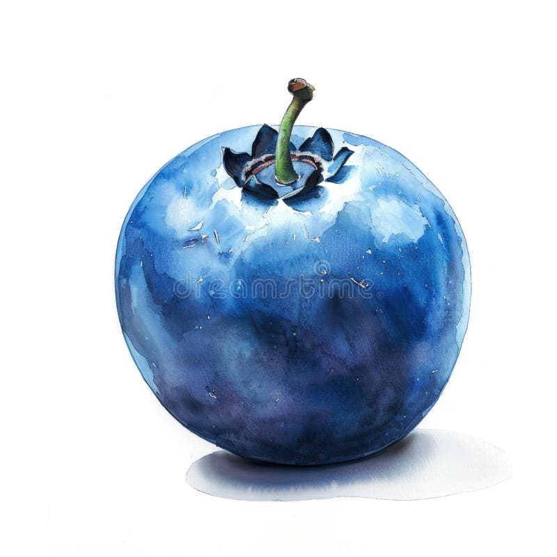 Single Blueberry Rendered Watercolor Stock Photos - Free & Royalty-Free ...