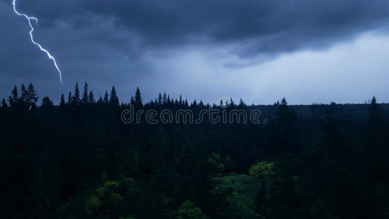 Lightning Strikes Over a Forest Clearing at Night Stock Footage - Video ...